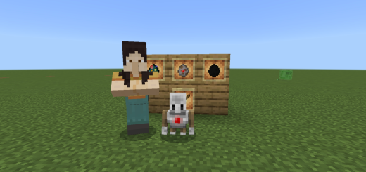 Villageraddons' Skin Pack (+40 SKINS) | Minecraft Skin Packs