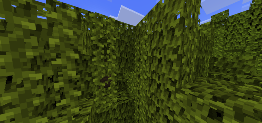 Bugrock Edition Title Minecraft Pe Texture Packs