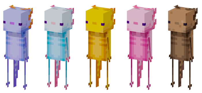 Axolotl Minecraft Skin I Made A Skin For The New Axolotl Mob