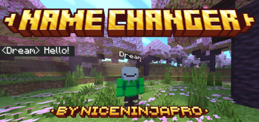 Health Changer [V1.0] | Minecraft PE Mods & Addons