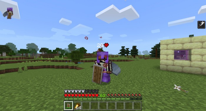 Lower Shield Texture Pack Aether 2 Mod 1.15.2/1.14.4/1.12.2