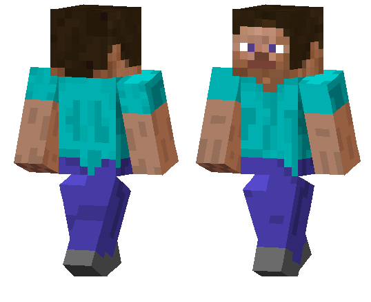 Reverse Face Steve | Minecraft PE Skins