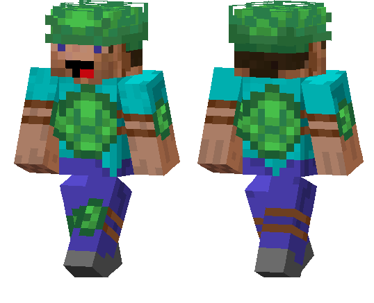 Turtle Armour | Minecraft PE Skins