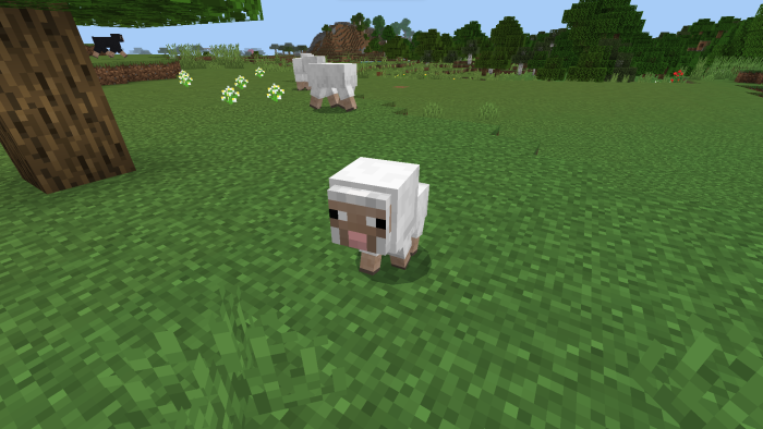 Bebés Mobs De Minecraft All The New Baby Mobs And Actions And Stuff