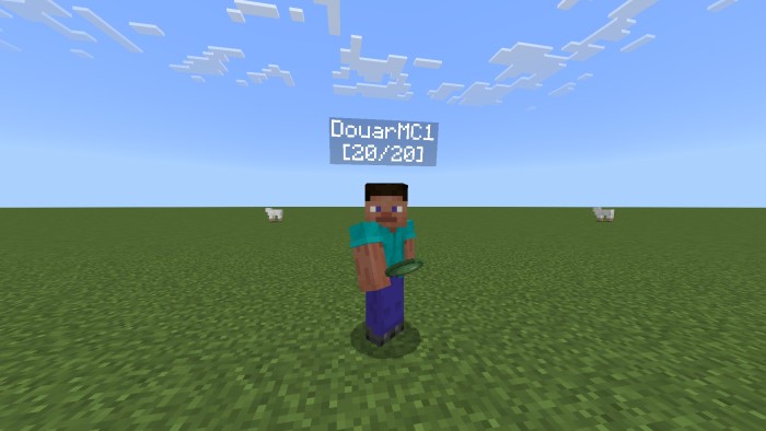 Display Player & Mob Health - Minecraft Bedrock Scripts - CurseForge