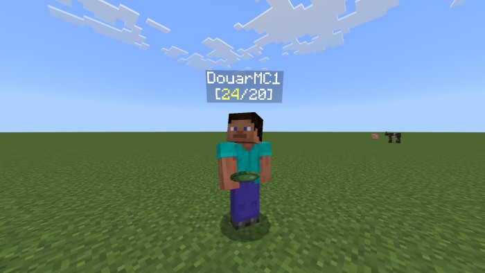 Display Player & Mob Health - Minecraft Bedrock Scripts - CurseForge