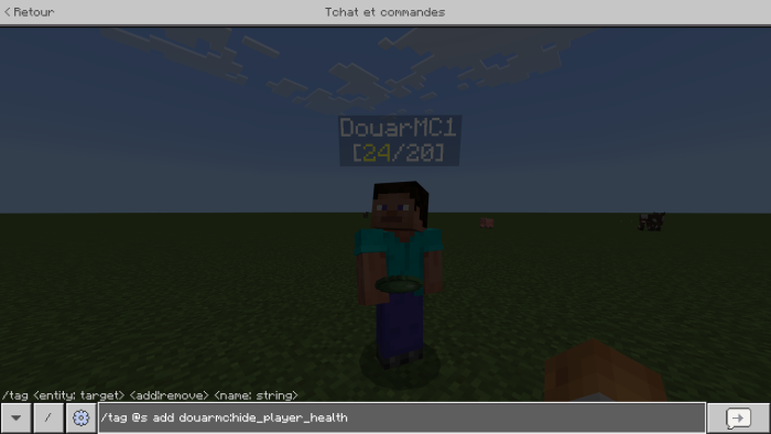 Display Player & Mob Health - Minecraft Bedrock Scripts - CurseForge