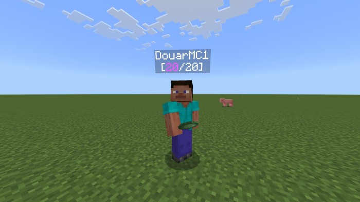 Display Player & Mob Health - Minecraft Bedrock Scripts - CurseForge