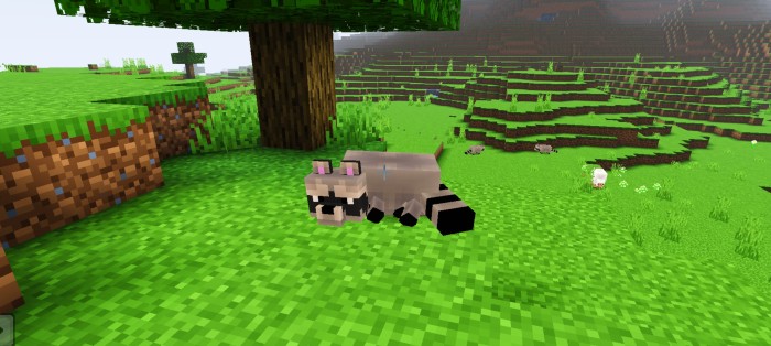 Raccoon's Addon Minecraft Mod