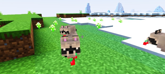 Raccoon's Addon Minecraft Mod