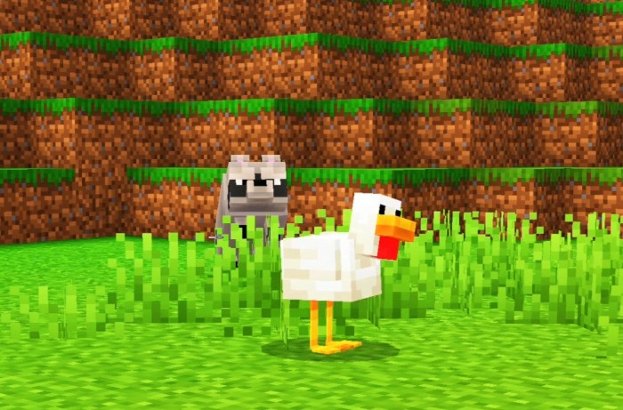 Raccoon's Addon Minecraft Mod