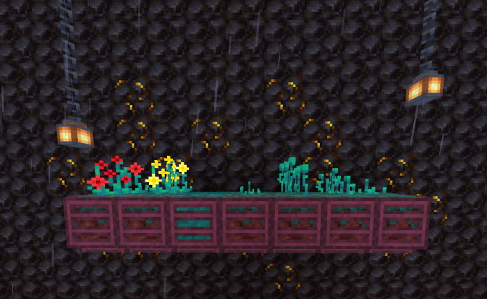 La Nature by Carrot - GODRAYS!! - Minecraft Bedrock Texture Packs ...