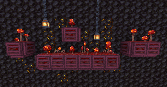 La Nature by Carrot - GODRAYS!! - Minecraft Bedrock Texture Packs ...