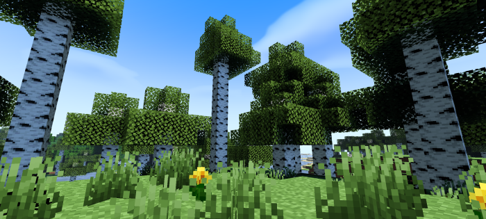 Newb Complemetary Shader | Now support on Windows in 1.21.111 ...