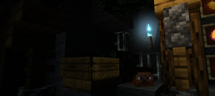 Newb Complemetary Shader | Now support on Windows in 1.21.111 ...