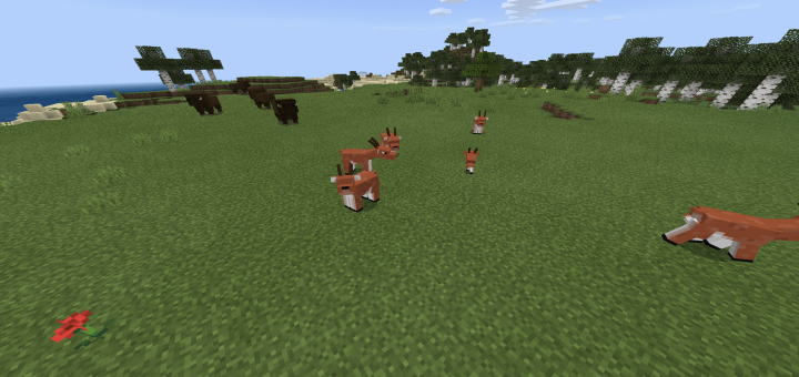 Colored Item Frames Addon | Minecraft PE Mods & Addons