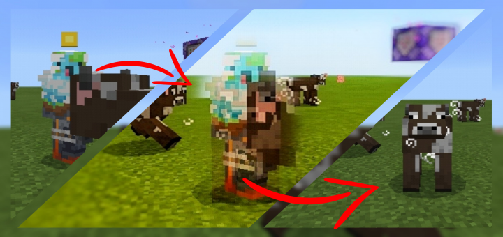 InvSee (Inventory Viewer) | Minecraft PE Addons