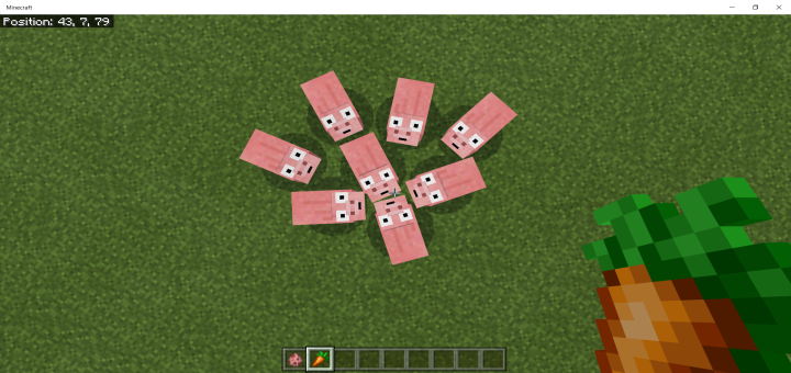 Derp Aghaidh Minecraft