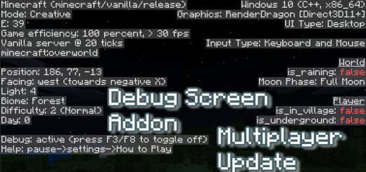 Debug Screen Resource Pack | Minecraft PE Texture Packs