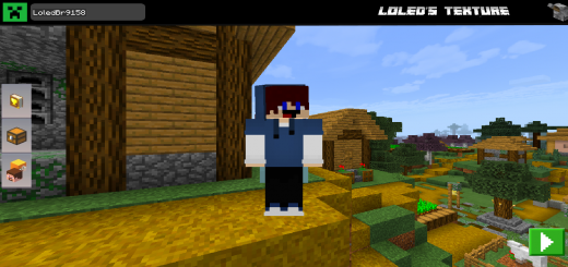 Loled's Animations (Pre-release) 1.19.70+ | Minecraft PE Mods & Addons