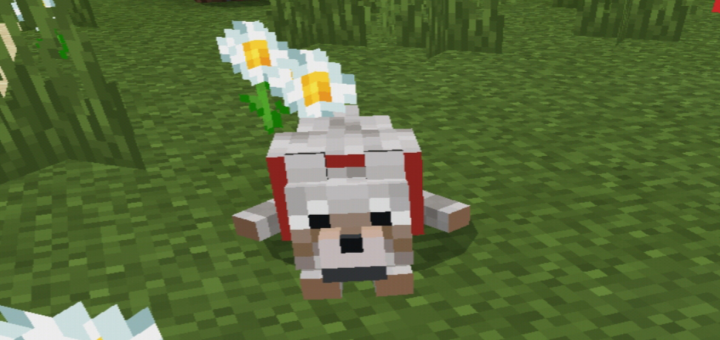 Duck Texture Pack By ItikGamemix | Minecraft PE Texture Packs