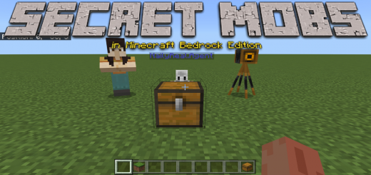 Secret Items in Minecraft Bedrock Edition | Minecraft PE Maps