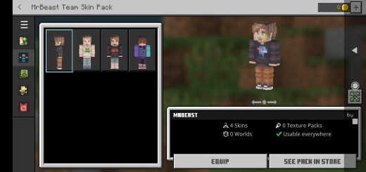 Dream SMP Skin Pack | Minecraft Skin Packs