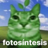 Archaism Talismans(Old archives) | Minecraft PE Addons